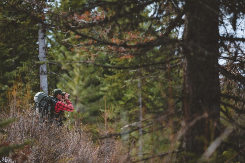 Shed Hunting: Tips and Tactics – Filson