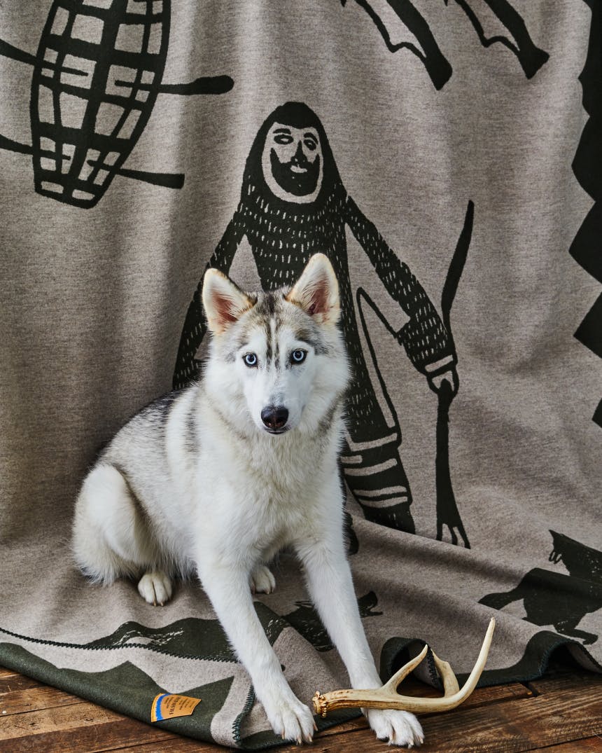 Arctic Producers