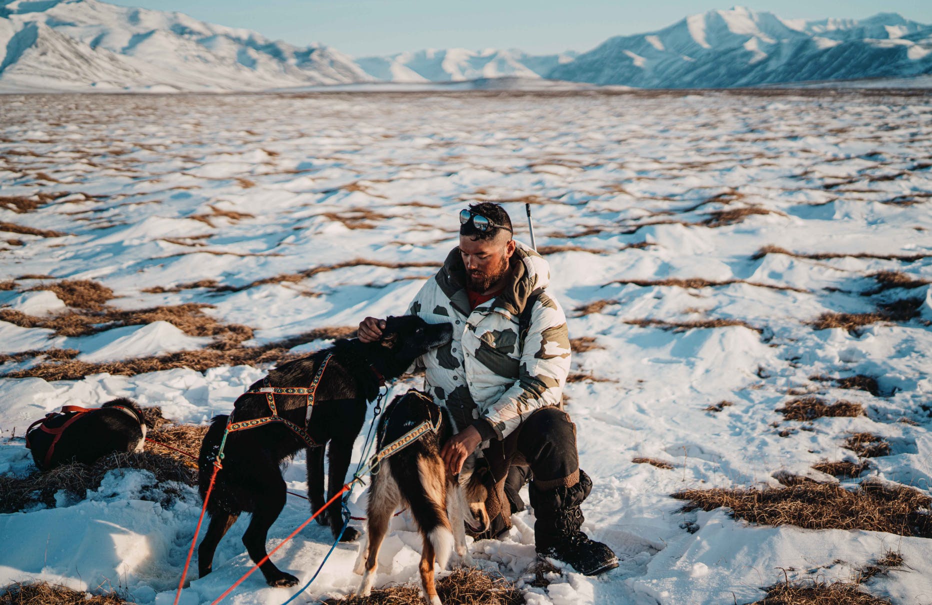 Filson Life: Mush | The Filson Journal