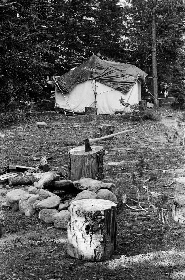 Fishing for Hawks: Trapping Raptors with Adam Baz – Filson