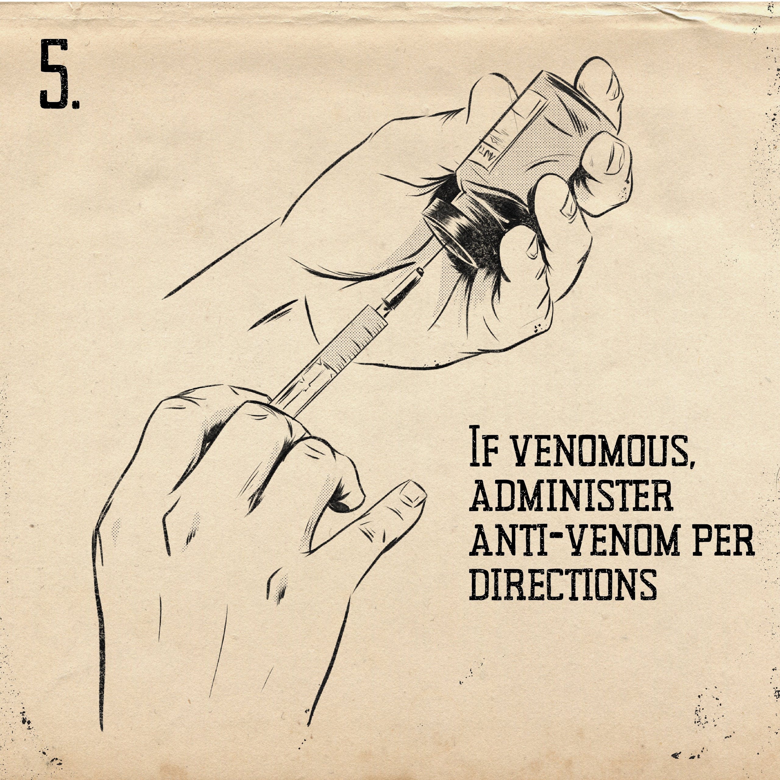 Snake Bite First Aid Poster